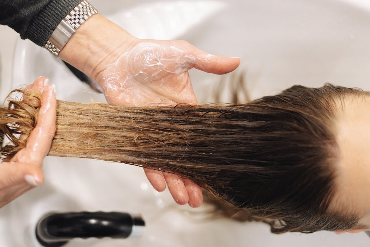 SHED Hair Products UK - Complete Brand Guide – Salon Shelf